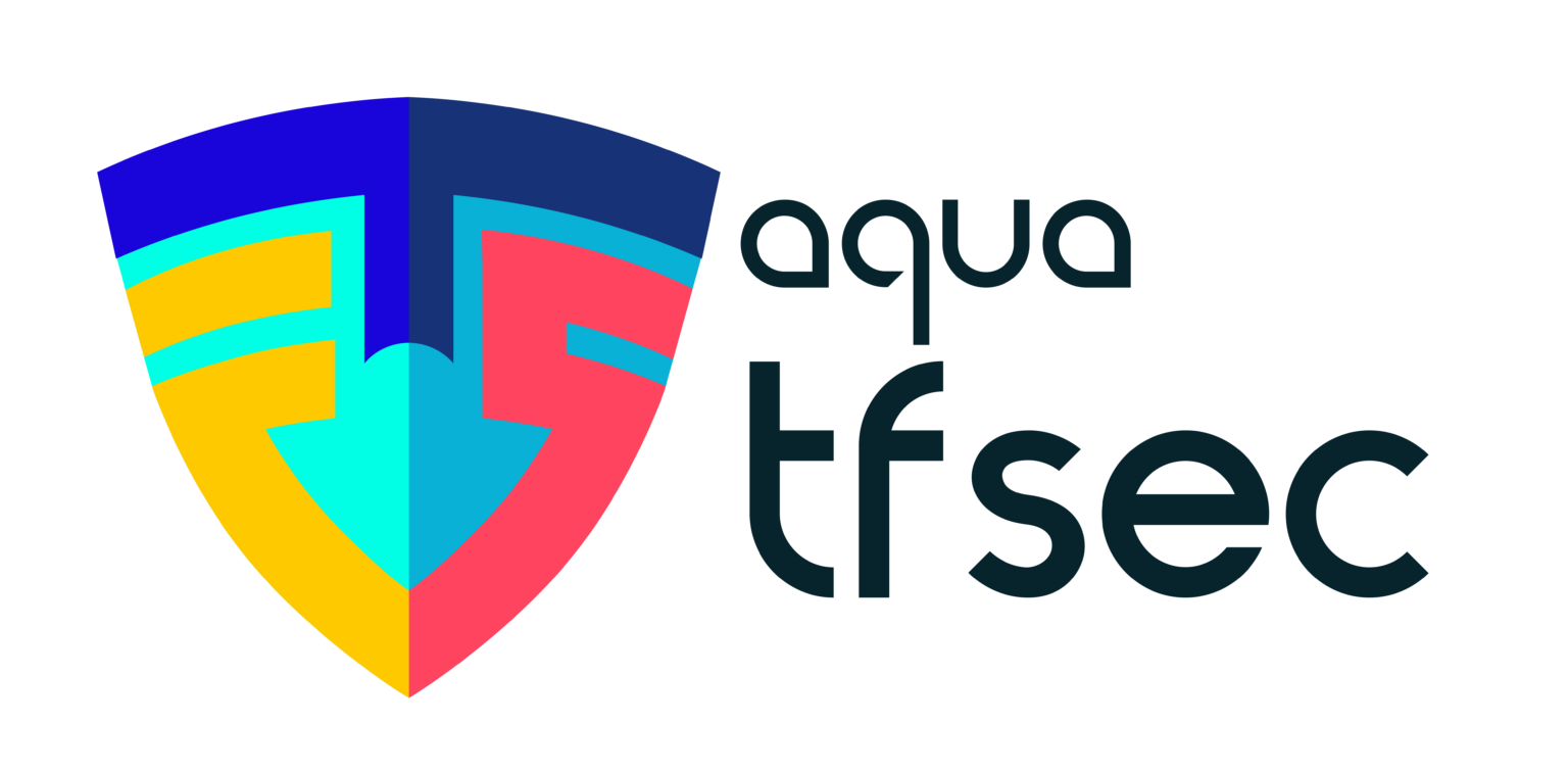 Infrastructure as Code (IaC) - Aqua